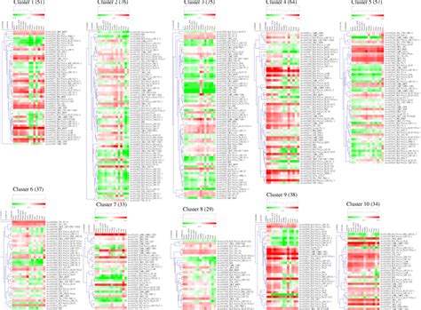 Heatmaps Of The 10 Clusters Generated By Clustering The Expression