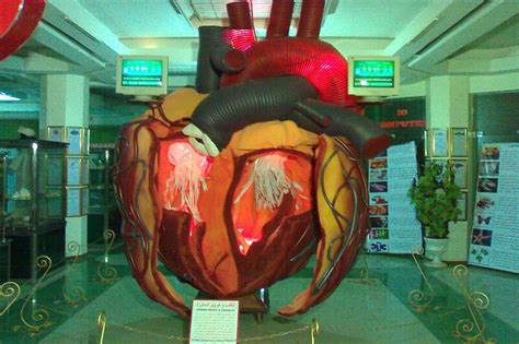 موزه علم و طبیعت دانشگاه شهید چمران اهواز ثبت جهانی شد ایرنا