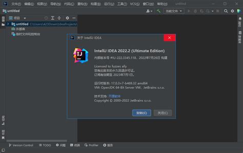 idea2022中文激活版 intellij idea 2022 2 3 软件中心 msdn 我告诉你 中文站