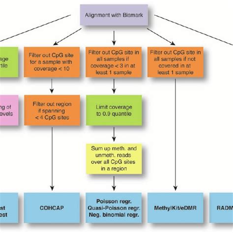 overview of the applied preprocessing steps and approaches