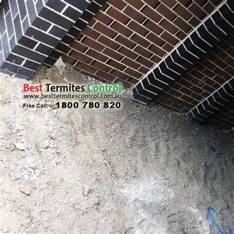 Termite Reticulation System Best Termites Control