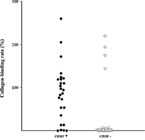figure 2 from multilocus sequence typing analysis of streptococcus