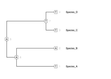 Chapter 3 Simulation Phylogenetic Biology