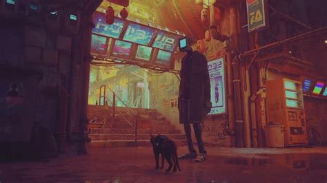 Stray 16 Youtube