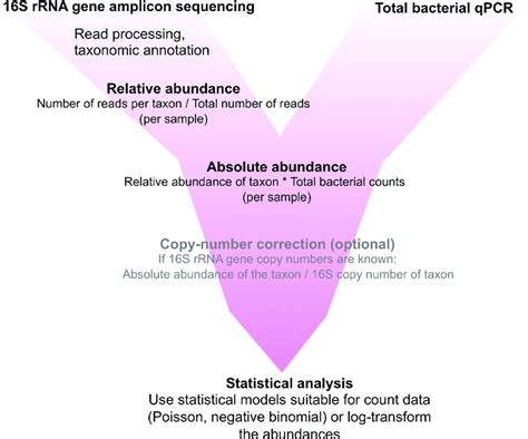 Workflow For Implementation Of Qpcr Based Quantitative Microbiome Download Scientific Diagram