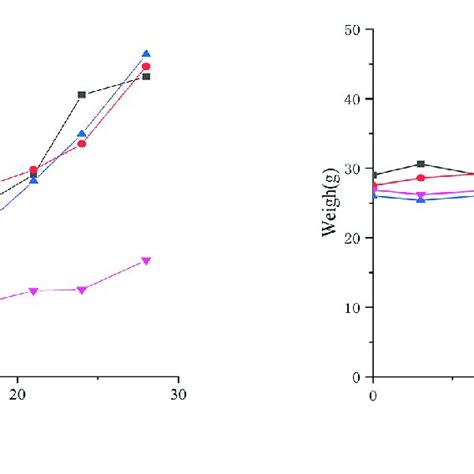Influence Of The Treatment On The Tumor Volumes And Weight Of