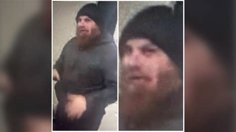 Calgary Police Seek Suspect In Show Home Sex Assault Shirley Reeder
