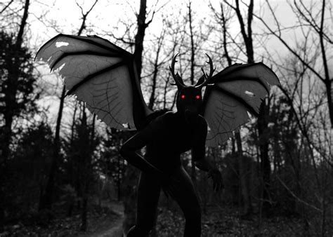 17 Famous Cryptid Animals And Sightings Myth Or Reality Centre Of