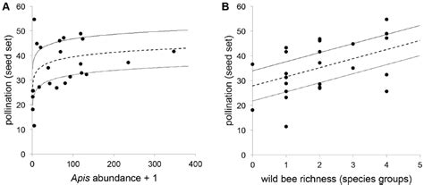 Relationship Of Pollination To Apis Abundance A And Wild Bee Download Scientific Diagram