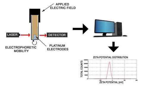 Schematic Representation Of The Zeta Potential Measurements In The Dip