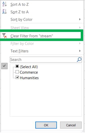 How To Add Filters In MS Excel GeeksforGeeks