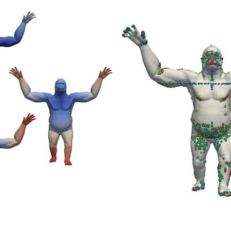 Two Examples Of Multivariate Datasets For Shape Analysis A The