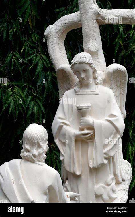 Jesus Praying In The Garden Passion Of The Christ