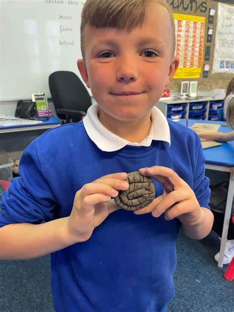 Our Clay Fossils Birdwell Primary Babe