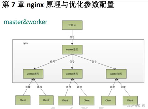 nginx 反向代理 负载均衡 动静分离 高可用集群 详解 nginx反向代理高可用集群 csdn博客