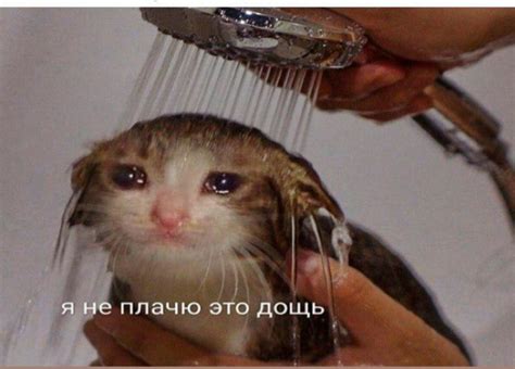 Секстиль Sex Tile Twitter