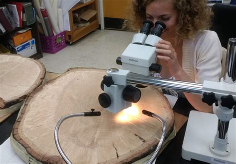 Reconstructing Fire Histories Using Tree Ring Analysis Geography