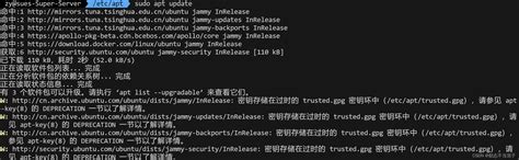 ubuntu 22 04 sudo apt update缺少公钥 trusted gpg d csdn博客