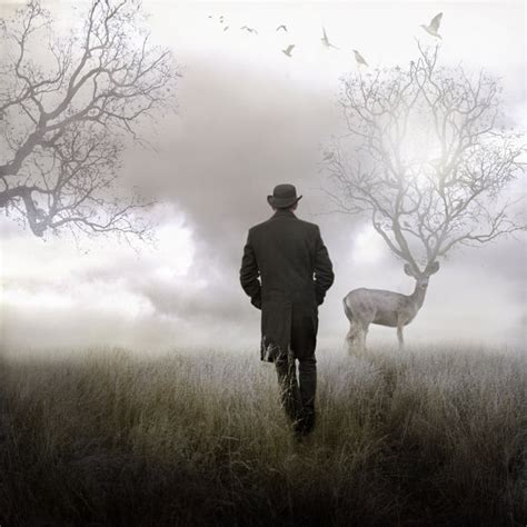 Beautiful Surreal Photographs By Trini Schultz Freeyork