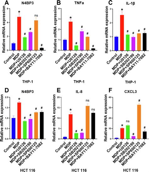 N4bp3 Facilitates Nod2 Mapk Nf κb Pathway In Inflammatory Bowel Disease