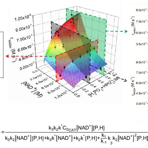 Global Fitting Of 3d And 2d Trends Of Initial Rate Of Reaction Rnadh Download Scientific