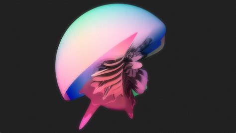 Mesh And Shader On Behance