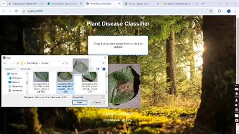 Do Ai Machine Learning And Deep Learning End To End Project By Khalilusmanuk Fiverr