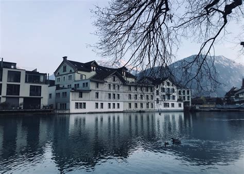 Définition De Douve Dictionnaire Français