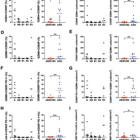 Three Dimensional Hydrogel Tumor Model Characterization A