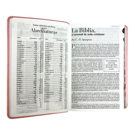 Reina Valera Bible 1960 Manual Size Large Print 12 Points Light Pink