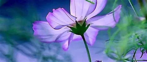 C Wpf Rabbitmq收发消息实例解析 知乎