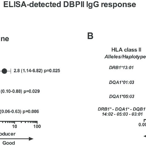 Association Between Hla Class Ii Alleles Drb1 Dqa1 And Dqb1 Loci Download Scientific