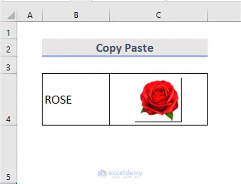 how to insert picture into excel cell 3 methods exceldemy
