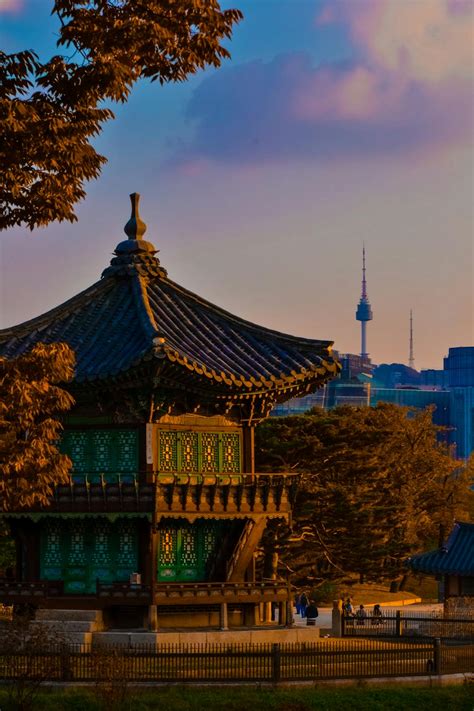 N 서울 타워 가벼운 가을 가을 색 건물 건물 배경 건축 경복궁 경치가 좋은 골든 아워 관광 관광 명소 나무 대한민국 도시 도시 풍경 도시의