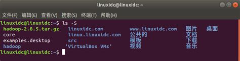 Linux下 文件排序如何在linux中对文件进行排序 Gui和shell Csdn博客 Linux下 文件排序如何在linux中对文件进行排序 Gui和shell Csdn博客