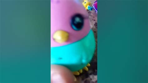 My Cat Lol 🤣 Cat Youtube