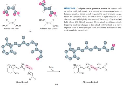 Isomers Diagram Quizlet