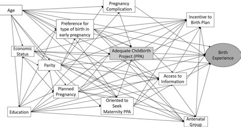 Theoretical Model Of The Association Of Ppa On Birth Experience