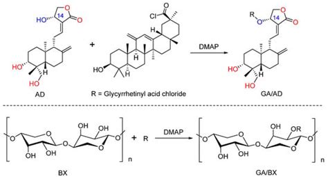 Synthetic Modifications Of Andrographolide Targeting New Potential