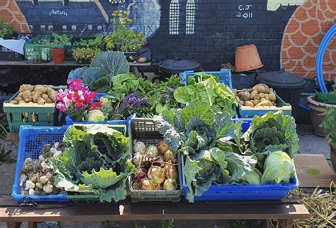 ‘urban Crops Can Have Higher Yields Than Conventional Farming Hortweek