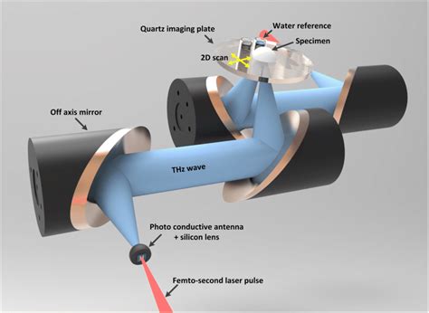 Schematic Diagrams Of Thz Time Domain Reflectometry Experimental Setup Download Scientific Diagram