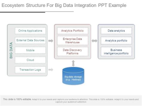 Ecosystem Structure For Big Data Integration Ppt Example Presentation