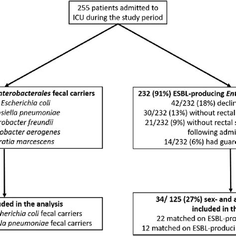 Comparison Of Gut Bacteriobiota Between Critically Ill Esbl Producing Download Scientific