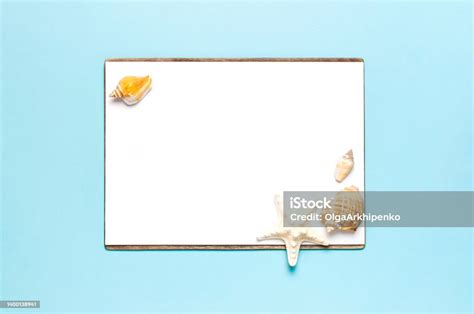 여름 개념 해양 배경 조개 불가사리 파스텔 파란색 배경에 흰색 빈 시트 상단보기 플랫 레이 복사 공간 바다 여름 휴가 모형 여행 해양 기념품 0명에 대한 스톡 사진 및 기타