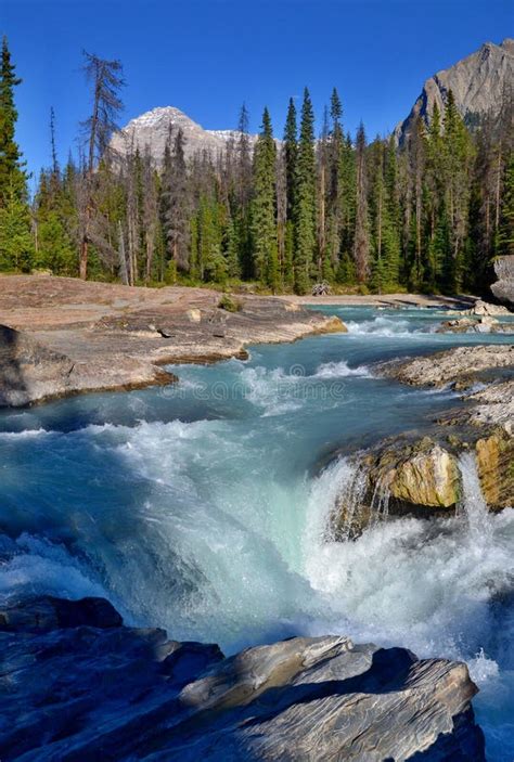 Wild River Falls Into The Rocky Riverbed In Yoho National Park Rocky