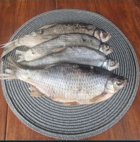 Create Meme Dried Fish Dried Fish Roach Fish Roach Pictures