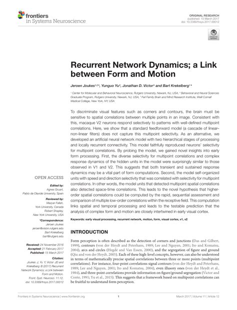 Pdf Recurrent Network Dynamics A Link Between Form And Motion