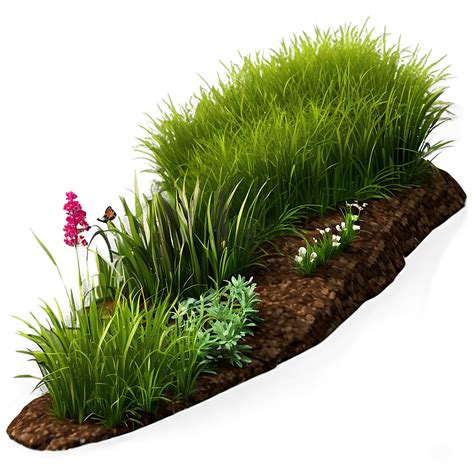 Grass Patch Png Images 100