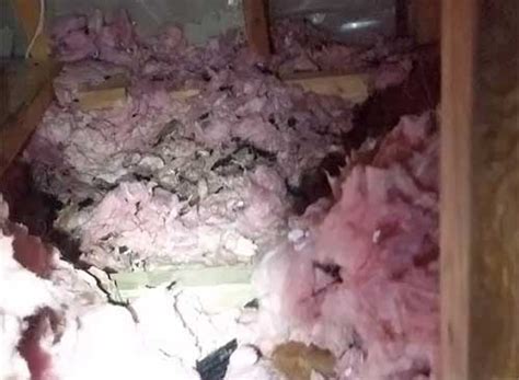 Attic Restoration Best In Fairfield Cty Ct 24 7 365