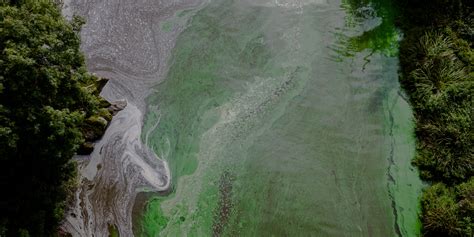 Nitrogen Fertilizer Runoff